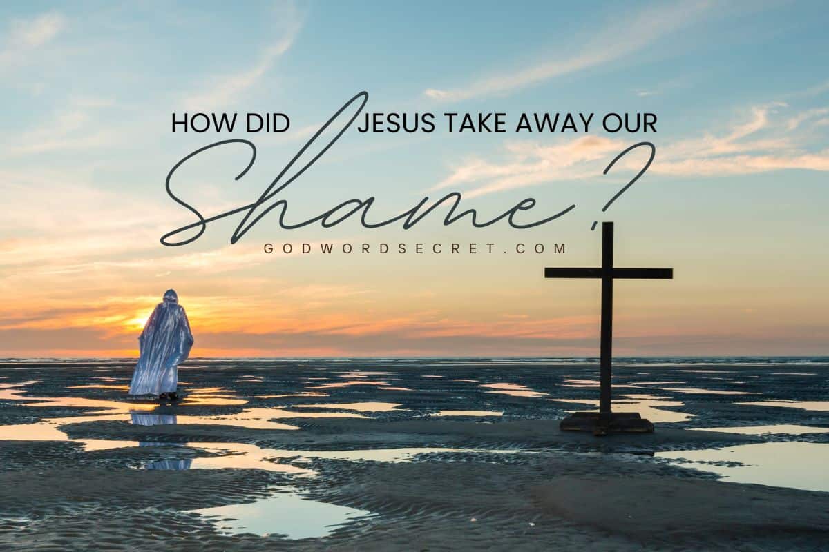 How Did Jesus Take Away Our Shame?