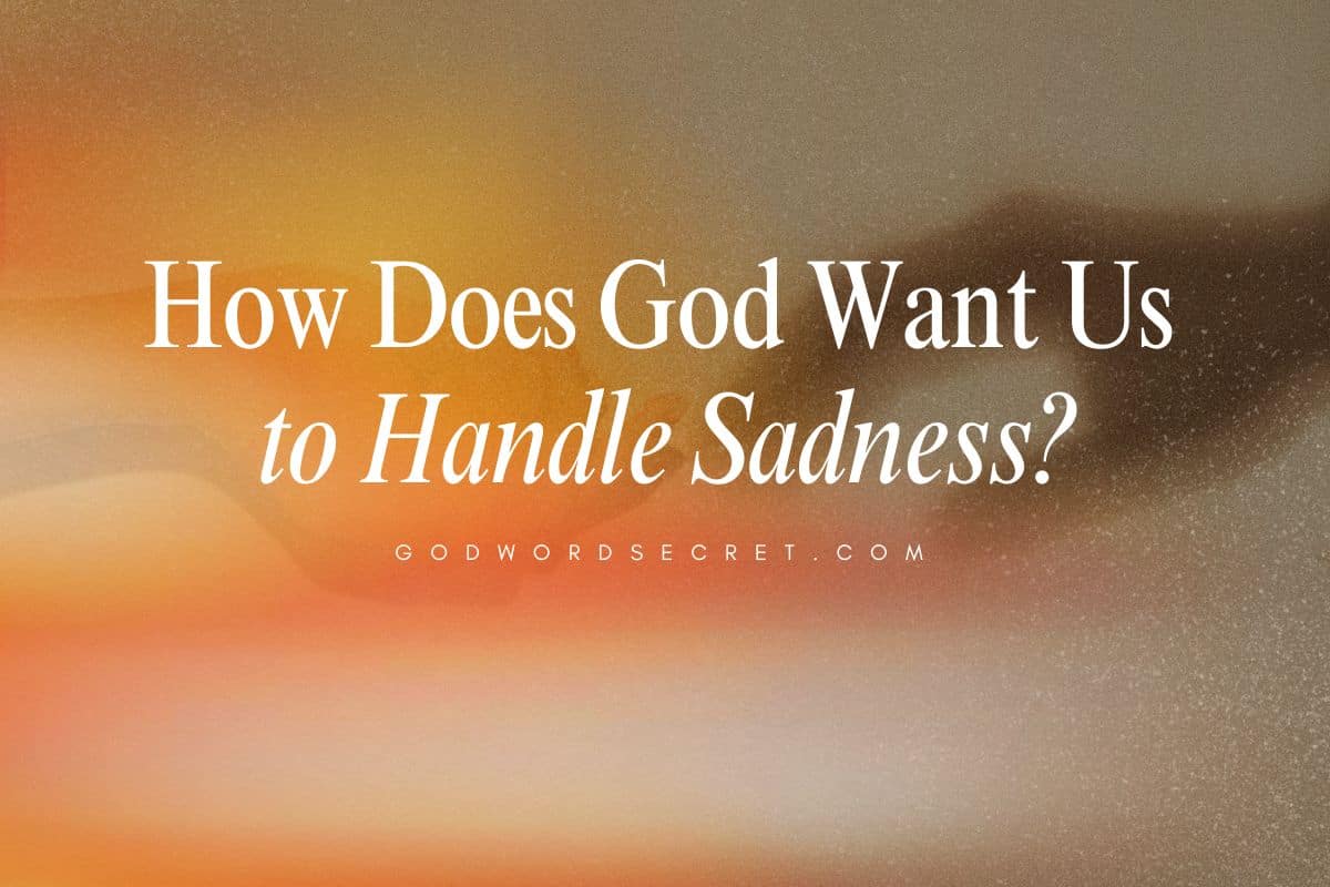 What Does God Say About The Root Of Bitterness?