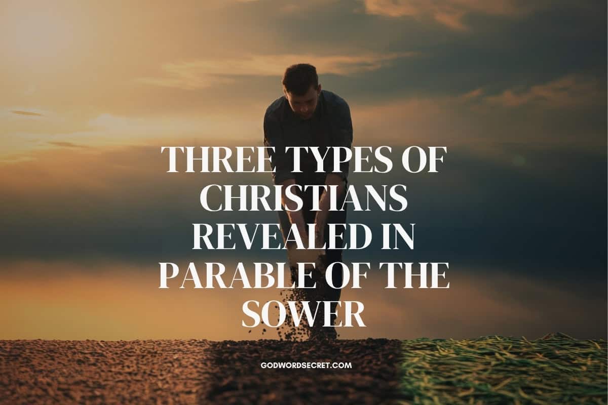 Three Types of Christians Revealed in Parable of the Sower